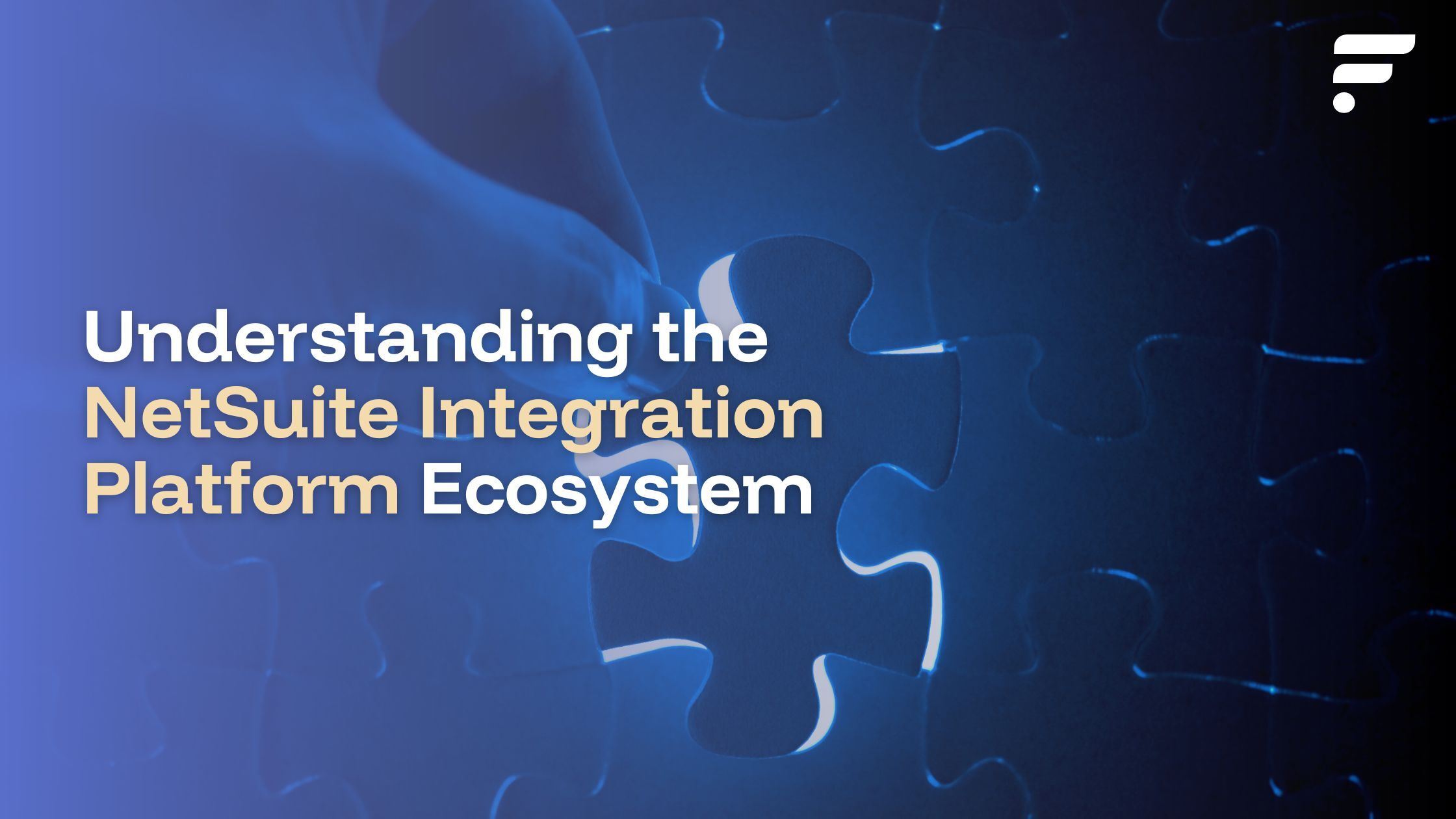 Understanding The Netsuite Integration Platform Ecosystem